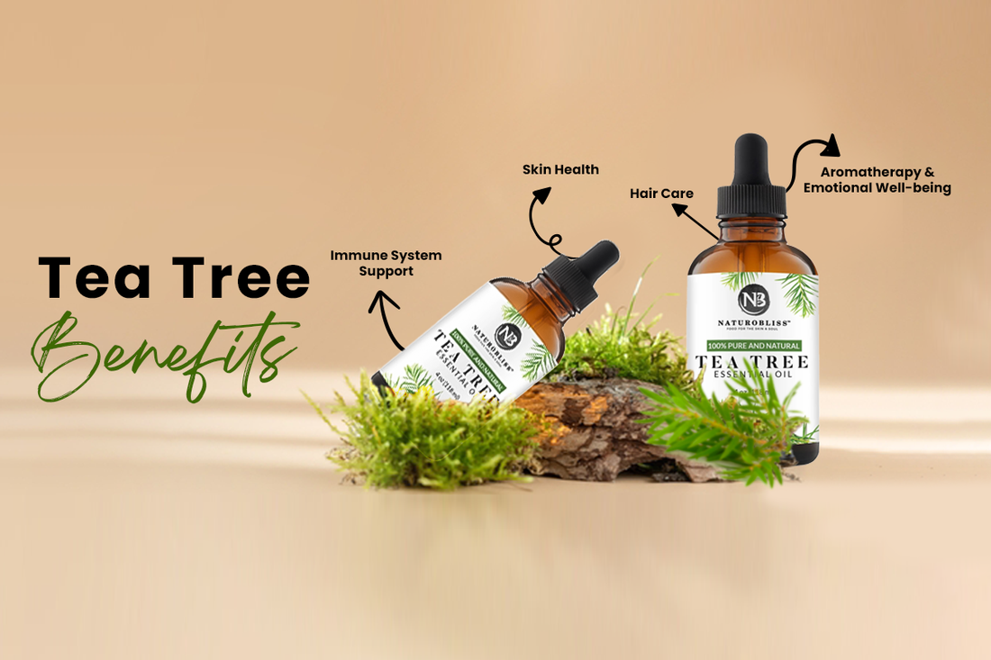 10 Powerful Benefits of Tea Tree Oil You Need to Know! – NaturoBliss